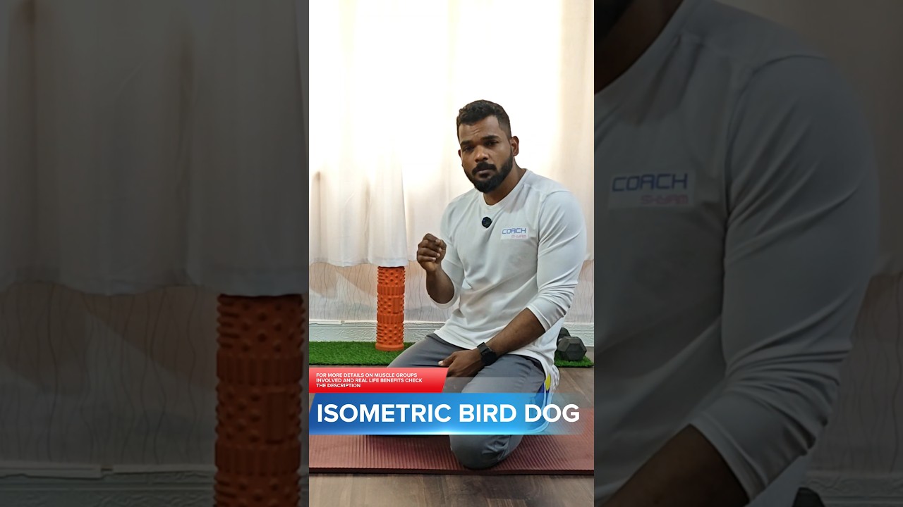 Isometric bird dog (neutral spine stability strength, endurance ...