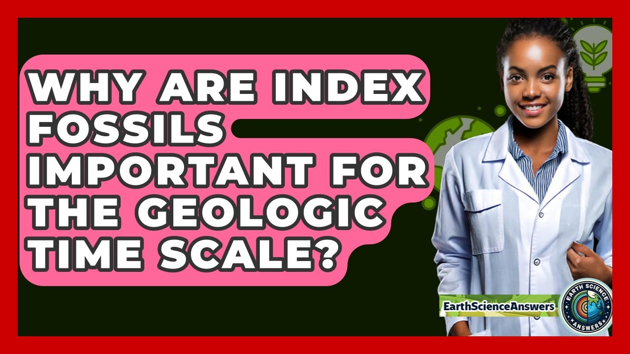 Why Are Index Fossils Important For The Geologic Time Scale? - Earth ...