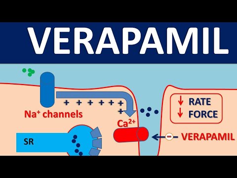 How Does Verapamil Affect Liver Enzymes