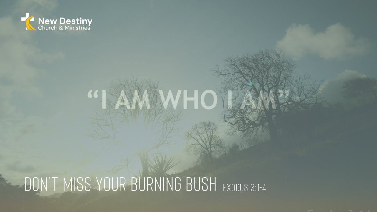 Don't Miss Your Burning Bush - YouTube