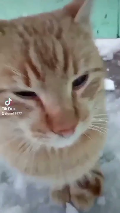 листай я же некрасивый 😖 Youtube
