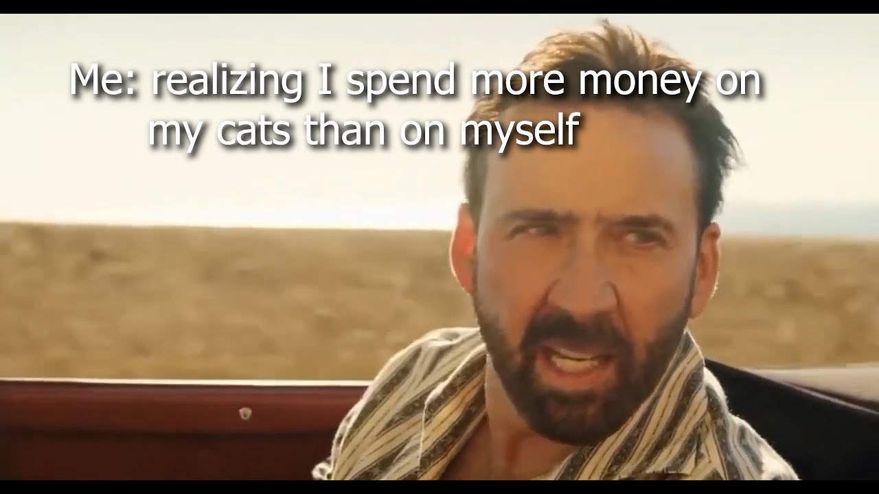 Pedro Pascal and Nicolas Cage Cat MEME - YouTube