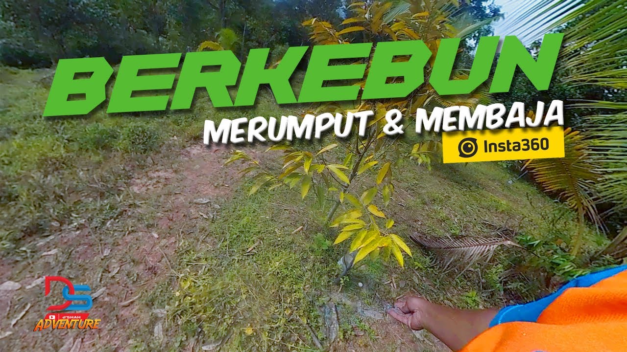 Merumput dan membaja - YouTube