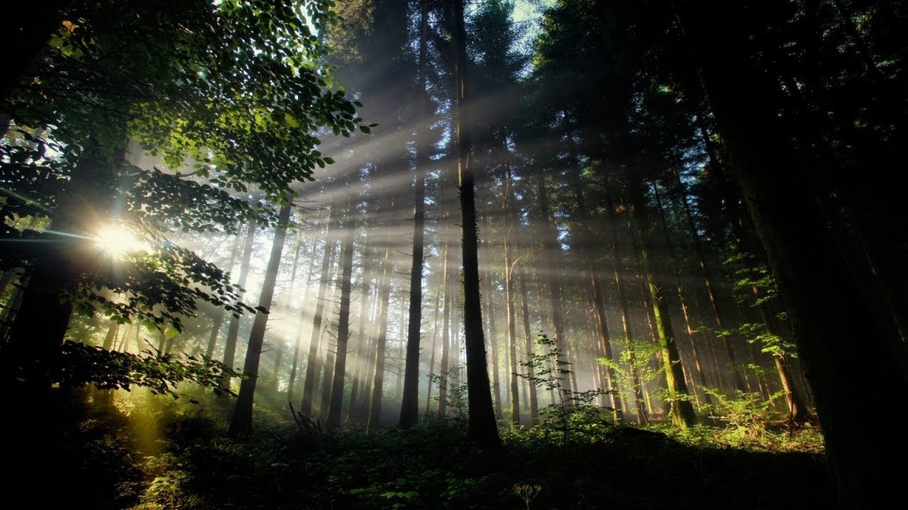 Copyright-free nature music | Copyright-free background music ...