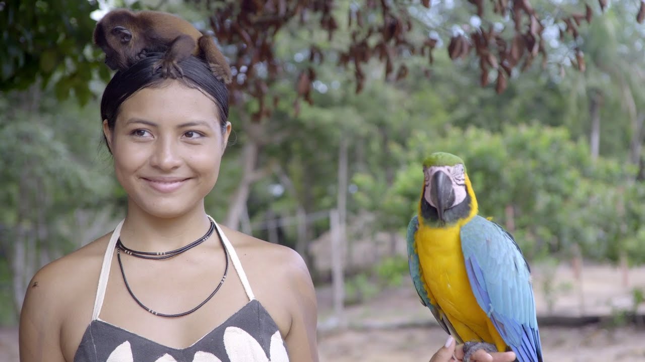 Learning from GEF projects in Amazonas, Brazil - YouTube