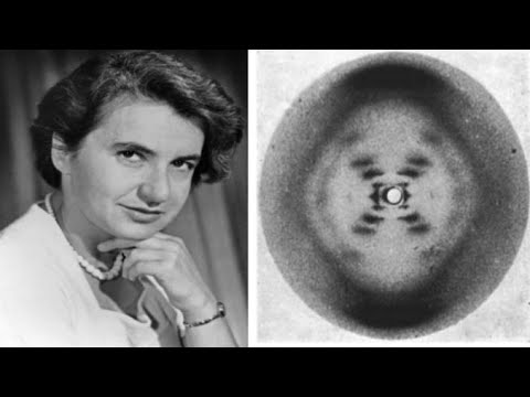 Rosalind Franklin -- Who got X - ray diffraction photograph of DNA ...