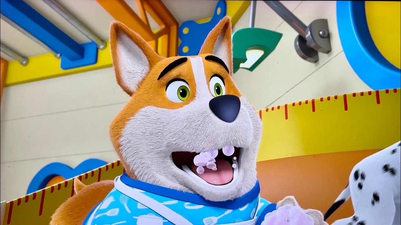 Pupstruction Harry Finally Arrives - YouTube