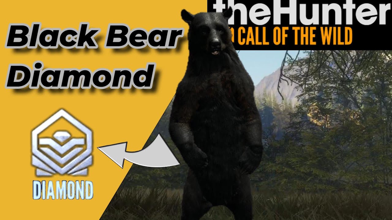 Diamond Black Bear | Mi Primer Oso Diamante | #cotw #hunter #diamond ...