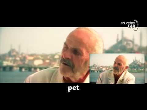 Arnavut Şevket Çipetpet çipetpet (educator remix) The Birdman