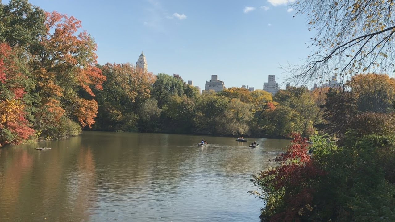 Walking Through Central Park: Bow Bridge And The Lake - YouTube