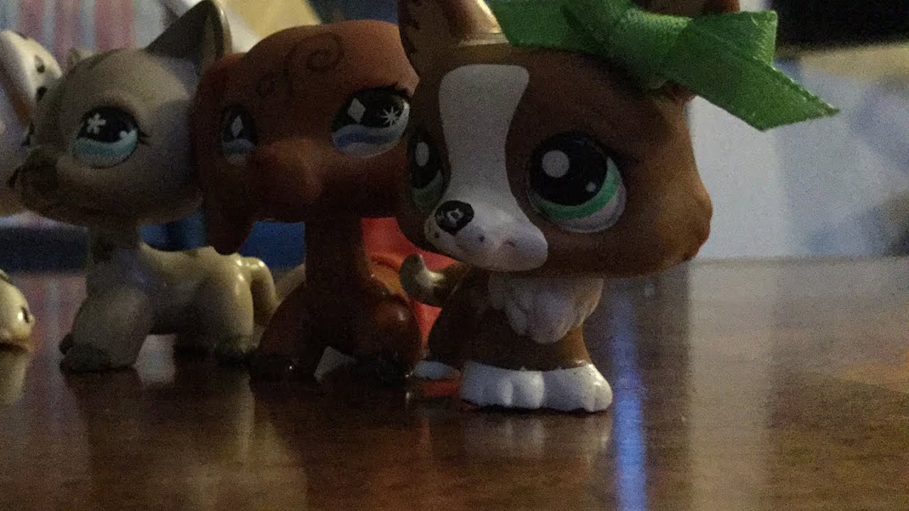 A Random LPS Livestream 💖💖 - YouTube