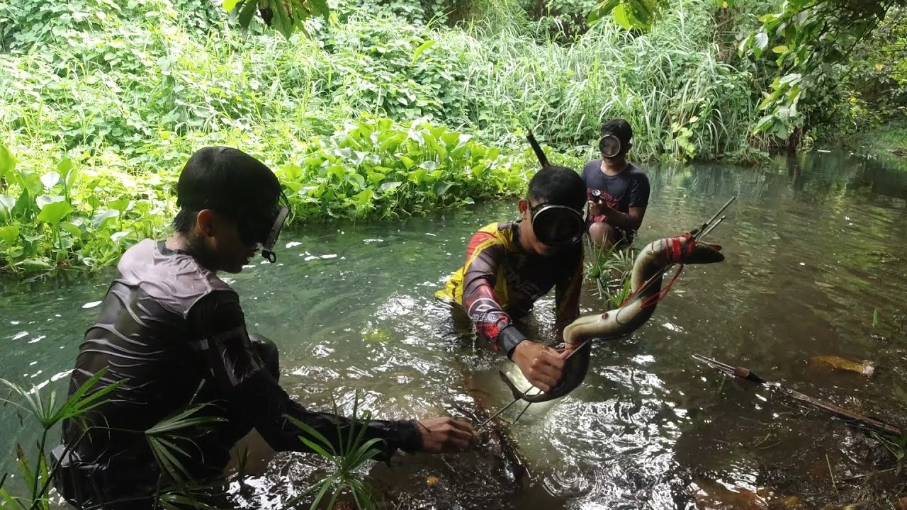 SE03EP190 - NAG SAMA-SAMA ang PALOS at MGA AHAS PAGONG sa IISANG LUNGGA ...