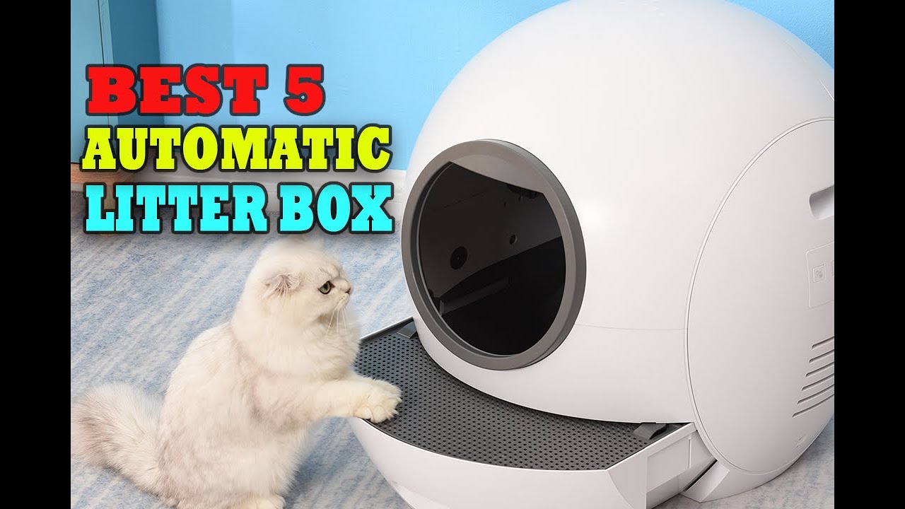 5 Best Automatic Self-Cleaning Litter Boxes (We Tested Them All) - YouTube