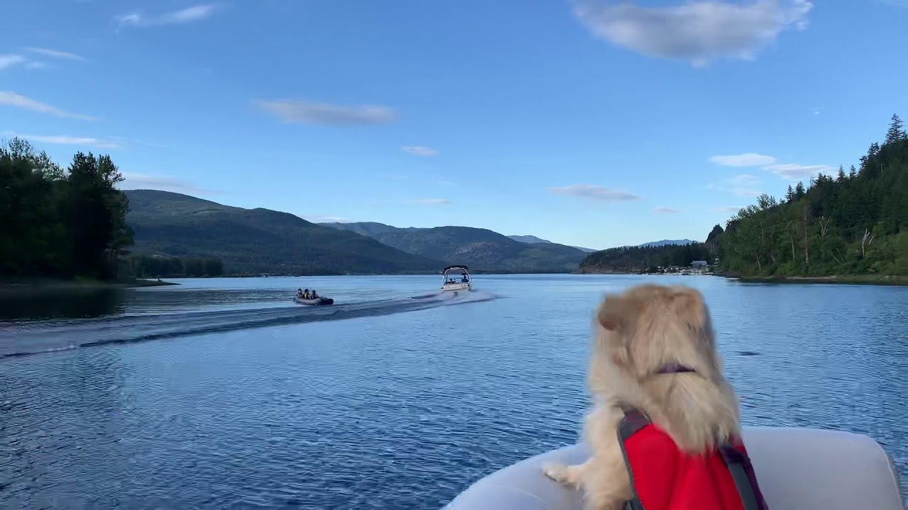 Little River Shuswap Lake Bc - YouTube