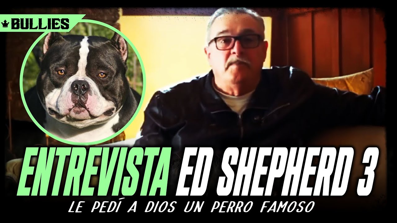 🔥 ENTREVISTA de ED SHEPHERD No.3// LE PEDI A DIOS UN PERRO FAMOSO🔥 ...