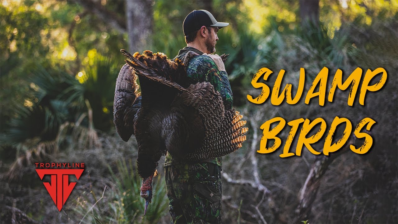 Swamp Birds | Florida Osceola Turkey Hunting - YouTube