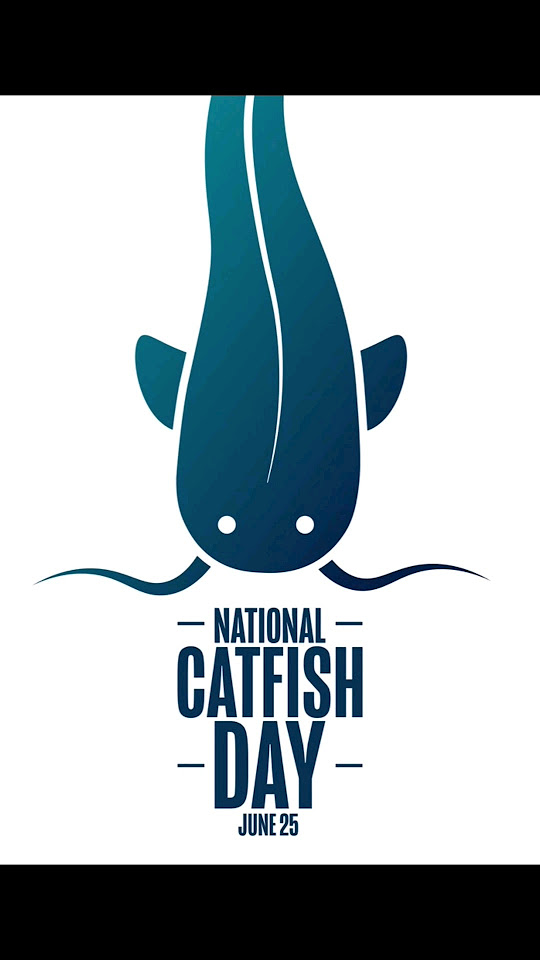 Happy National Catfish Day! 🐟 🐟 🐟 #nationalcatfishday #catfish - YouTube