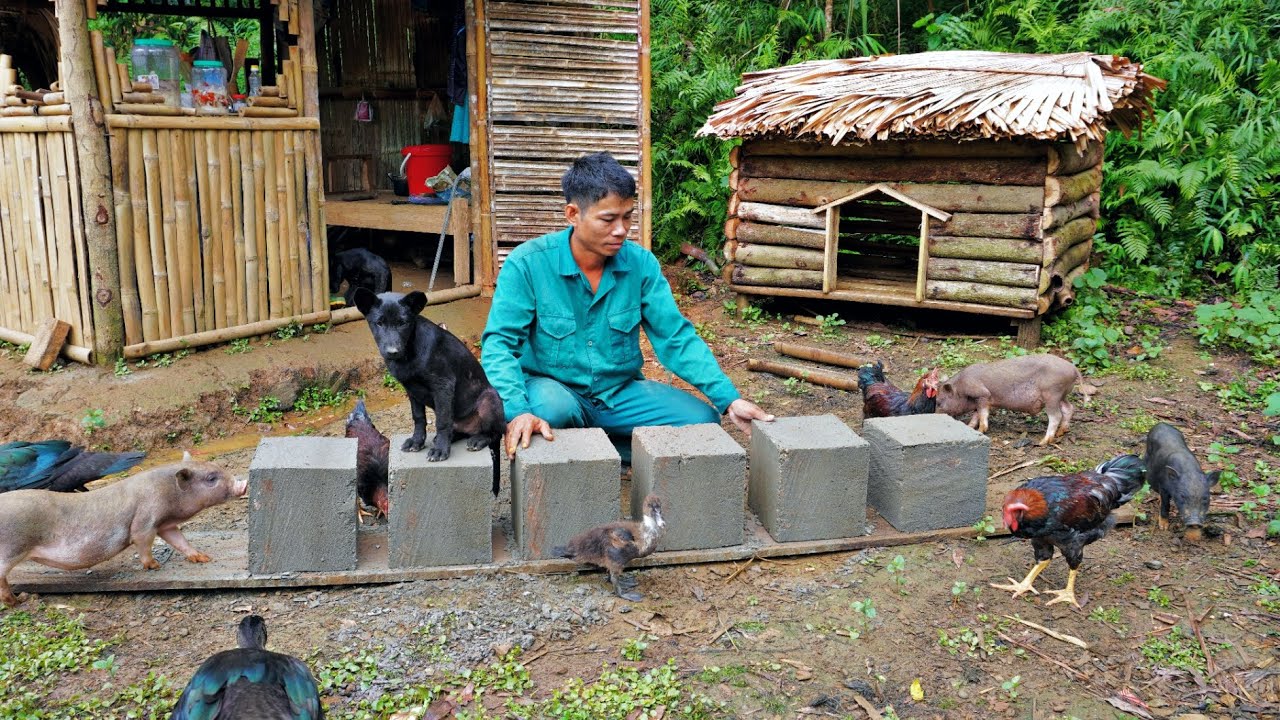 Make the base of the house pillar, building a new house, building life ...