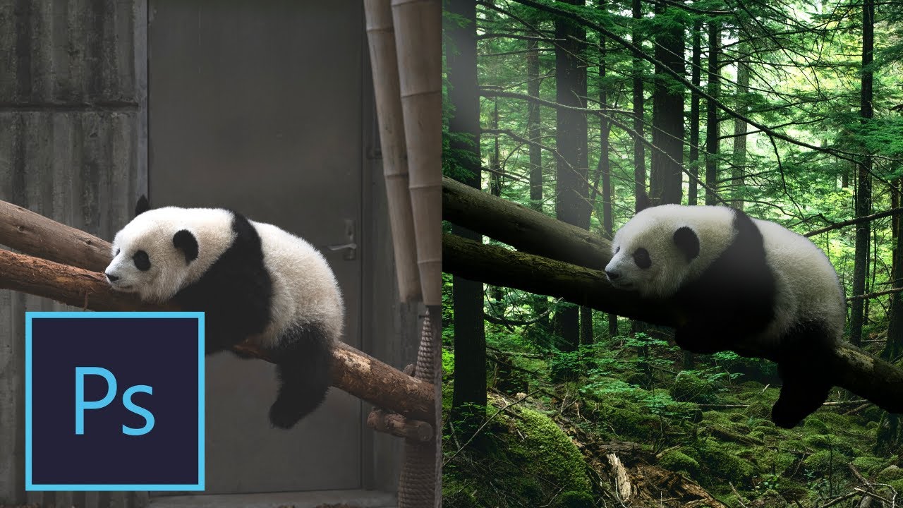 The Panda Heaven Photoshop Manipulation Tutorial|Composite - YouTube