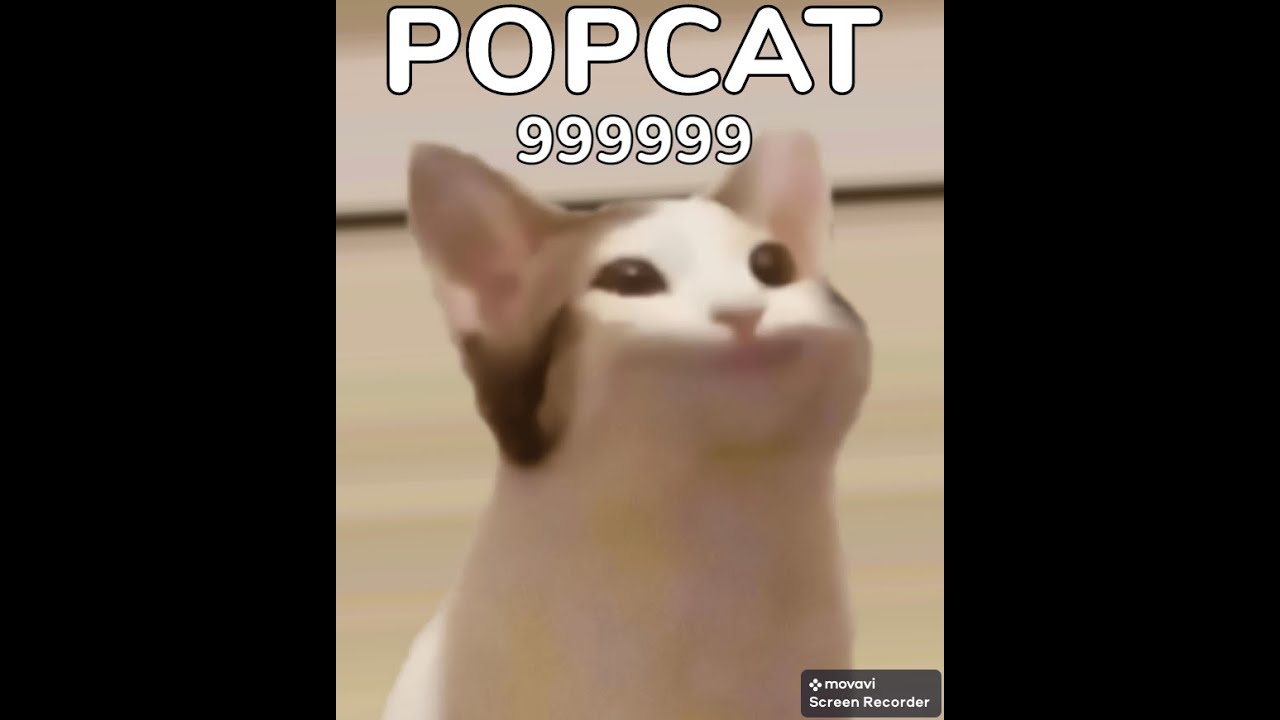 pop cat hack เพื่อทื่1ของโลก - YouTube