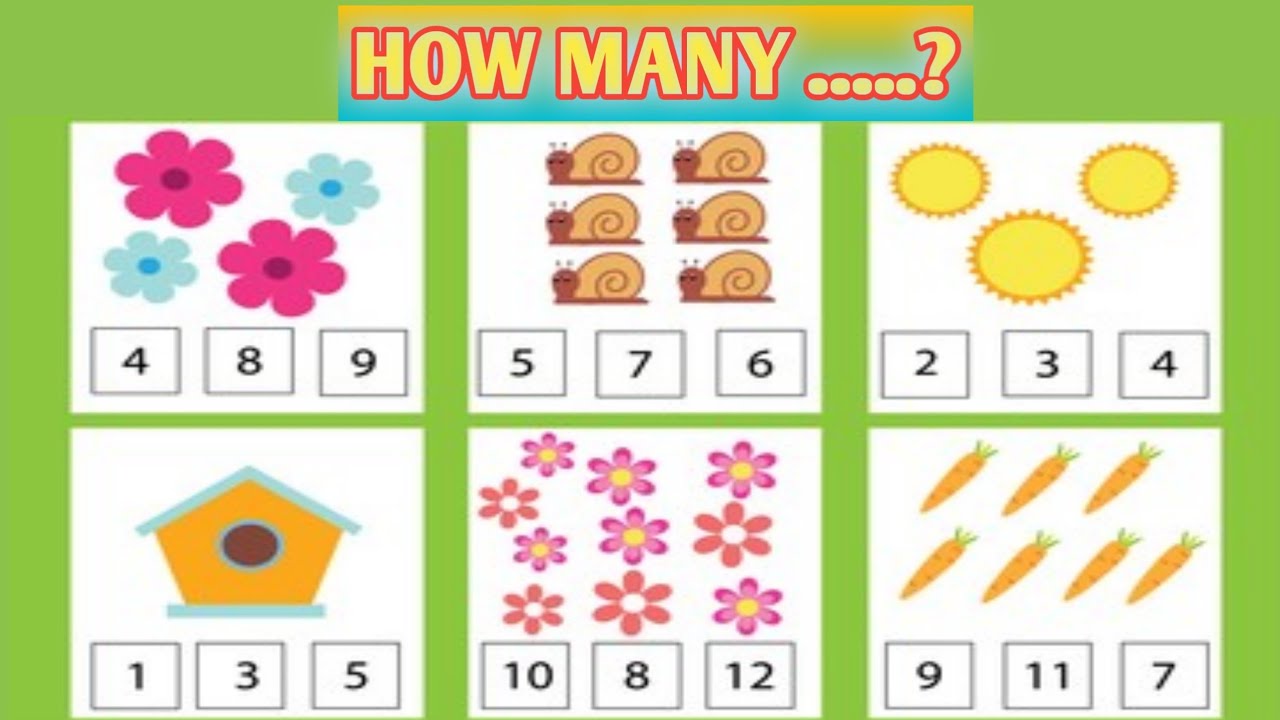 Count the objects and choose the correct number/🤔picture puzzle for ...