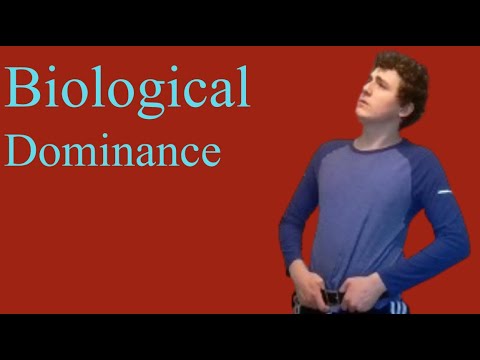 How do you become an Alpha Male? - YouTube