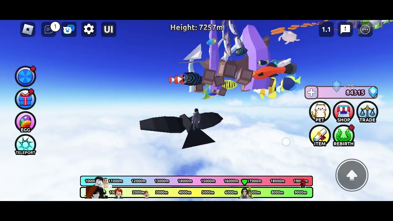 Bird ride. - YouTube