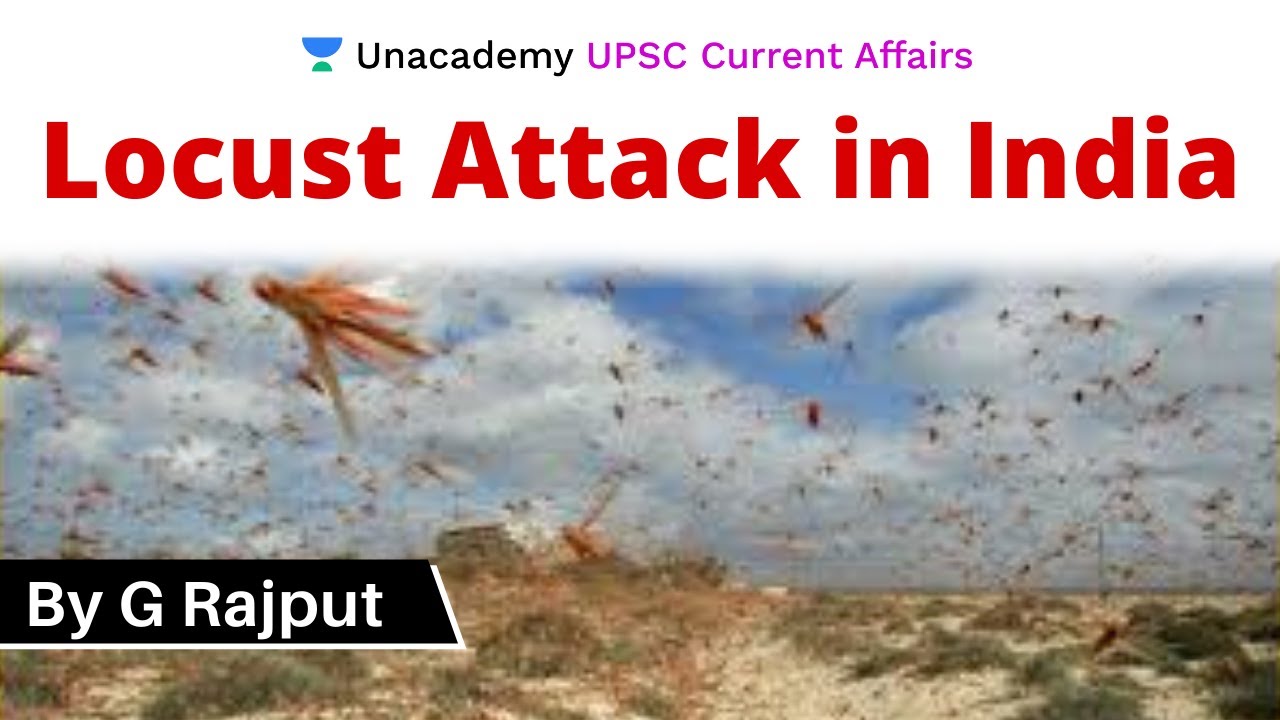 Locust Attack in India | UPSC CSE 2020 | By G Rajput - YouTube