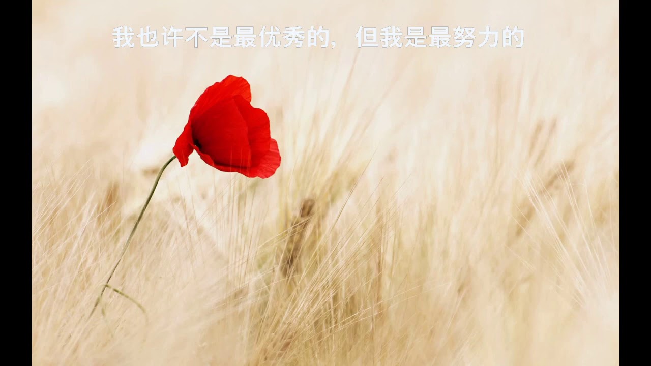Relaxing Music For Morning Tea Meditation relaxing-music-for-morning-tea-meditation