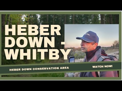 Heber Down Conservation Area Whitby - YouTube
