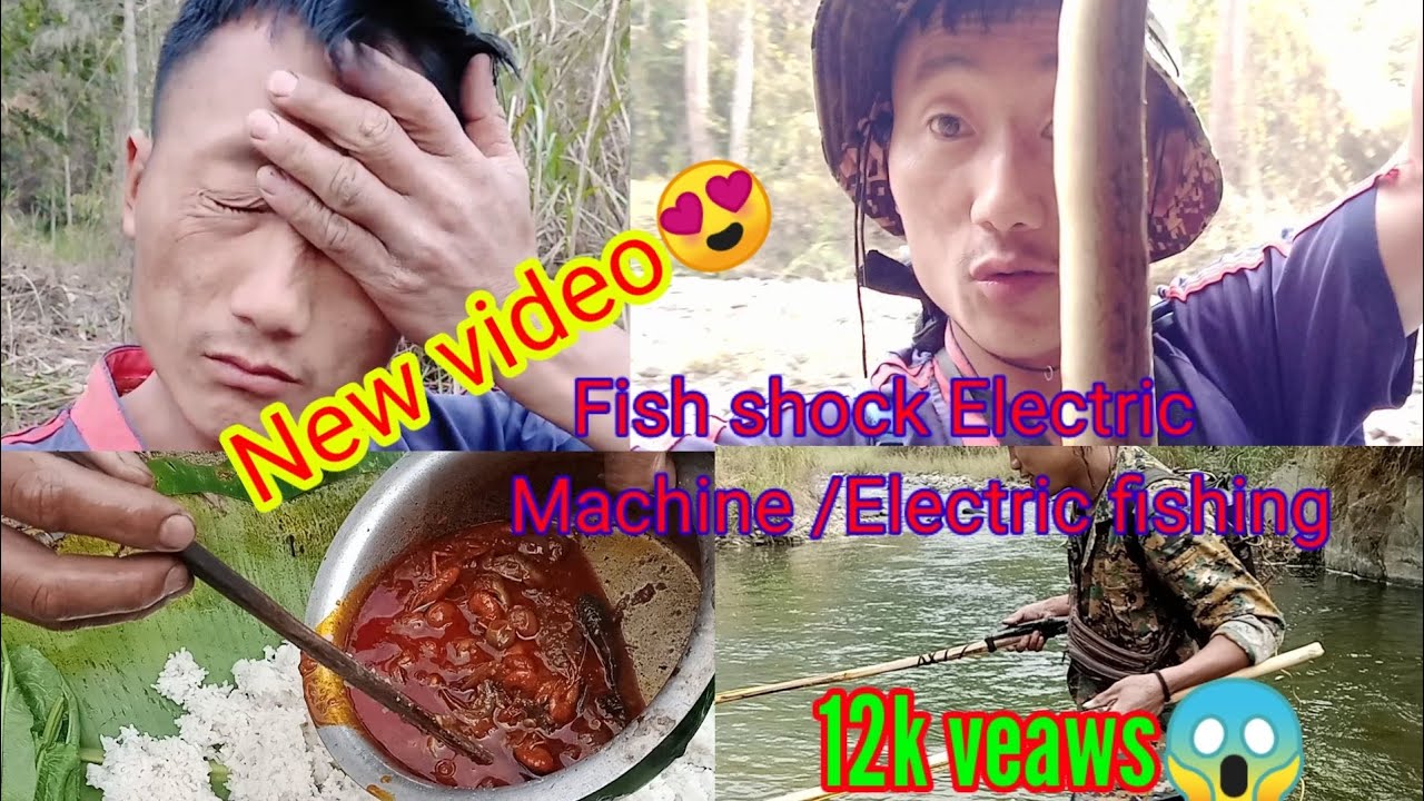 Electric fishing catching giant carnivorous Local fish 1k ///shock ...