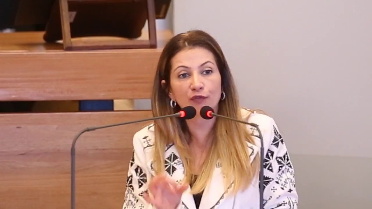 Deputada Sandra Faraj comenta em plenário vitória na justiça contra ...