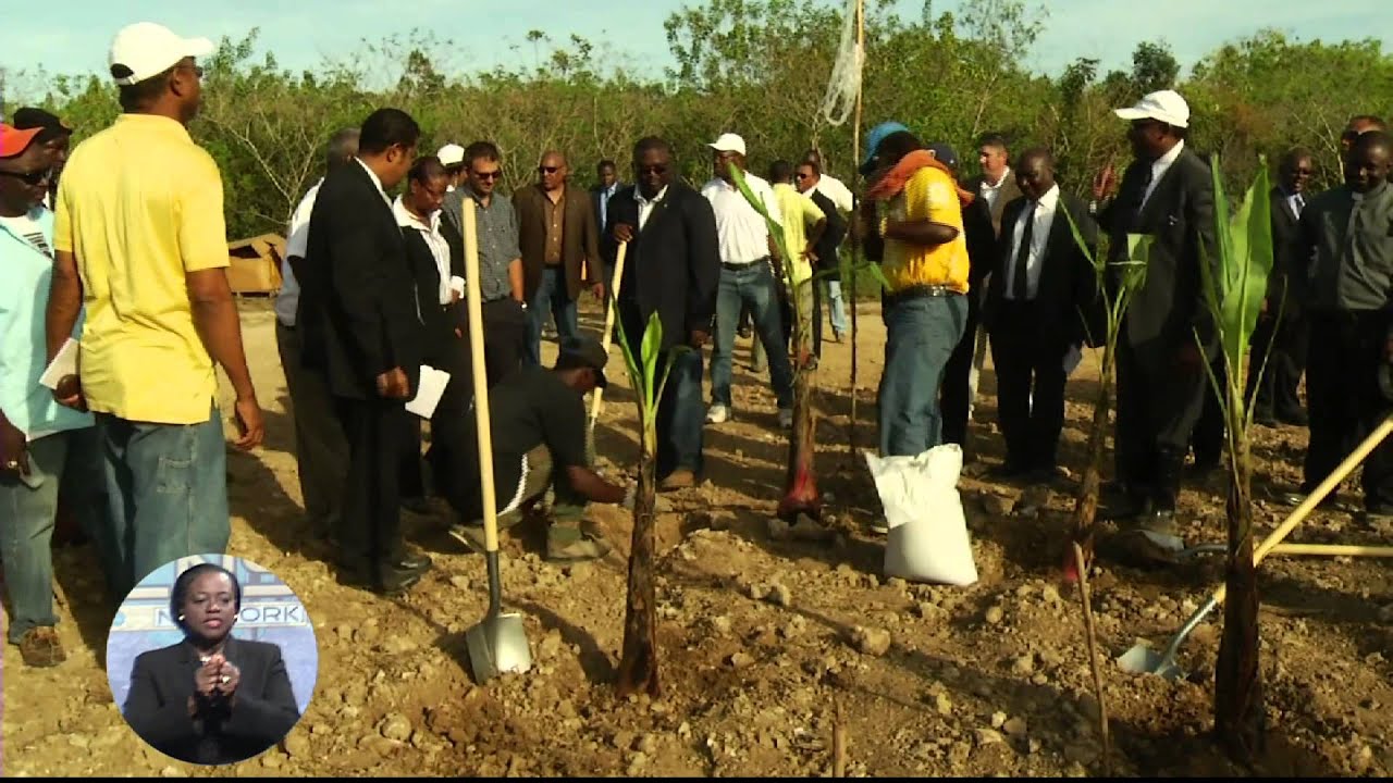 21st Century Livestock Farming Now On Andros - YouTube