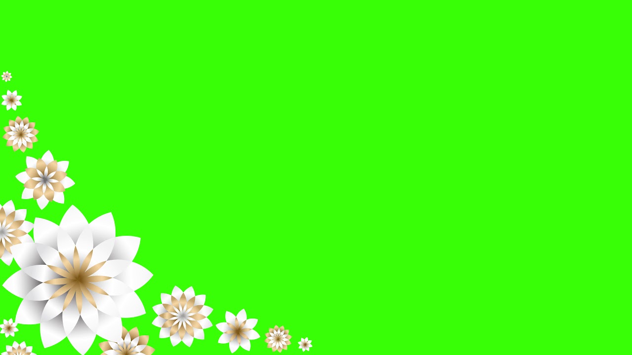 Free white and gold flower animated | Green Screen Effects Screen - YouTube