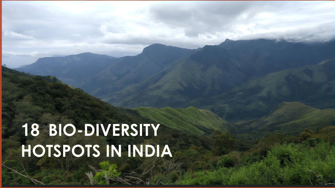 18 Bio Diversity Hotspots in India l Bio Reserves l Flora and Fauna l ...