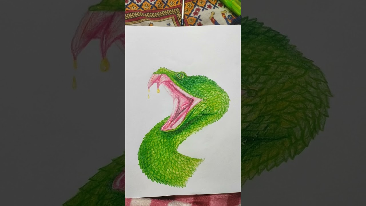 The bush viper drawing - YouTube