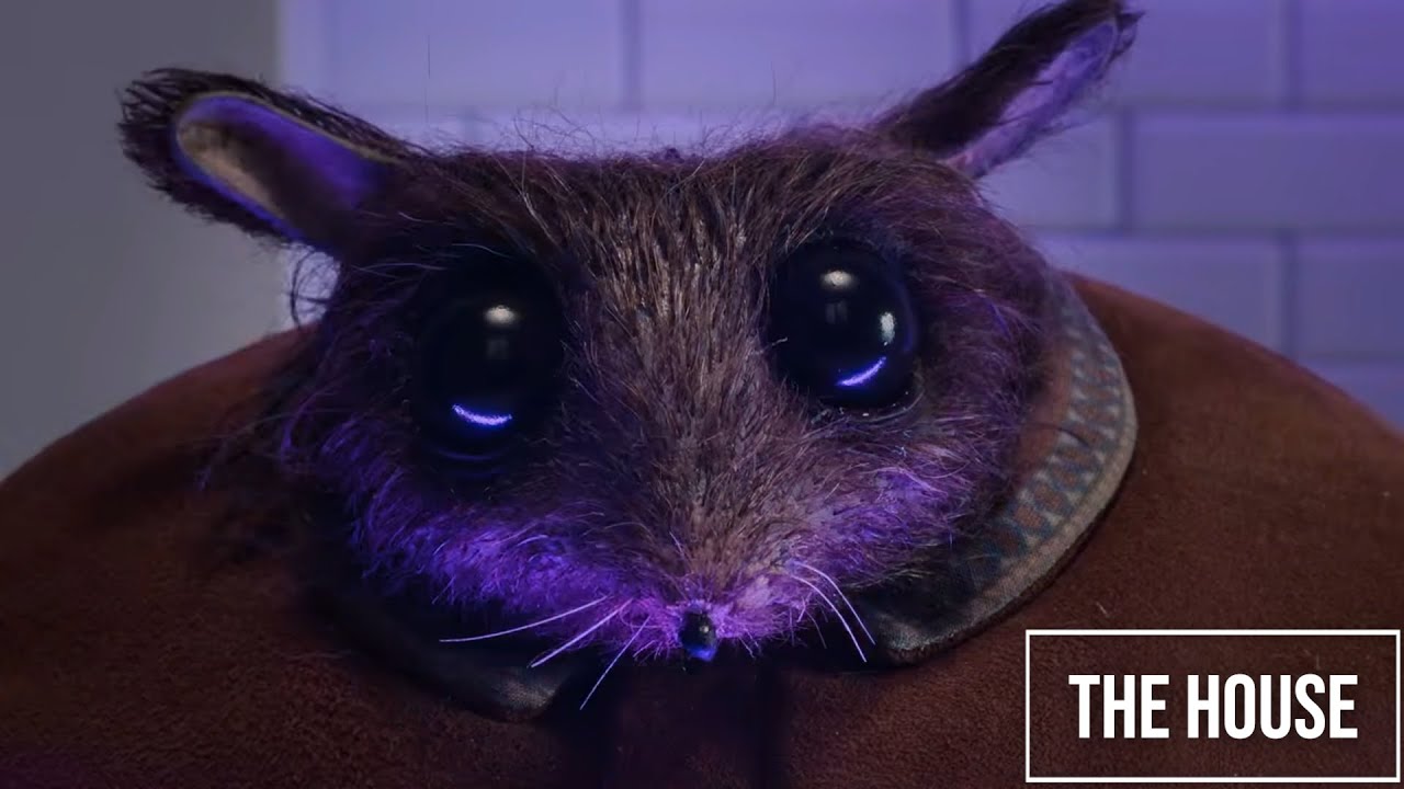 The House - Stop motion weirdness - YouTube