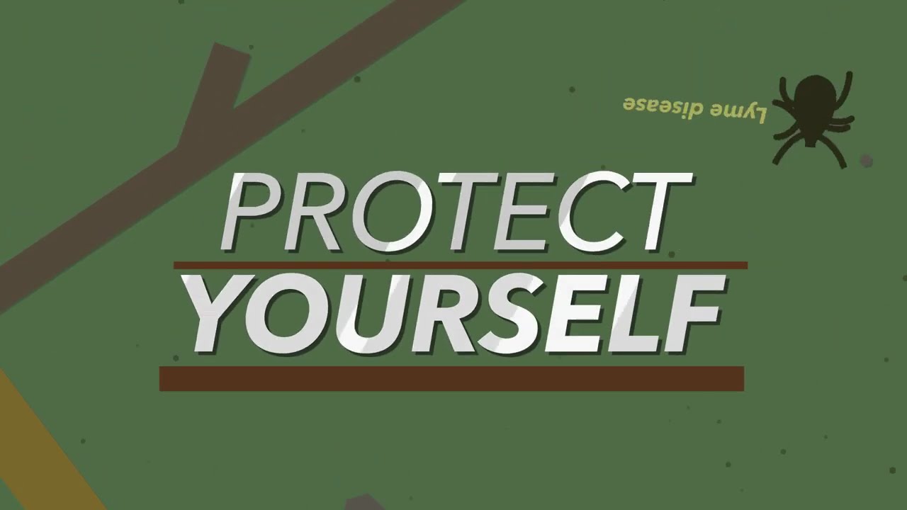 Tick Free Summer: How to Check for Ticks - YouTube