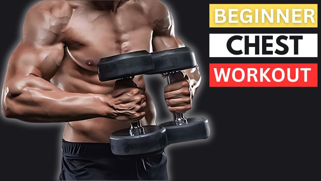 Beginner Friendly Chest Workout - YouTube
