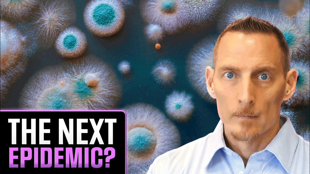 The Rising Mold Epidemic: Hidden Dangers of Mycotoxins & Mold-Related ...