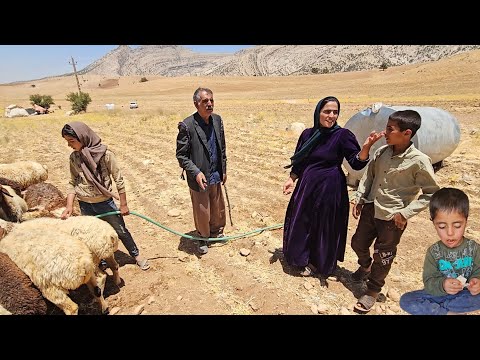 Grandpha leaves his sheep to his grandchildren; a great responsibility in the heart of nomadic life