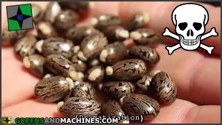 NEVER Eat This Plant | Castor Bean Poisoning Survivor Story