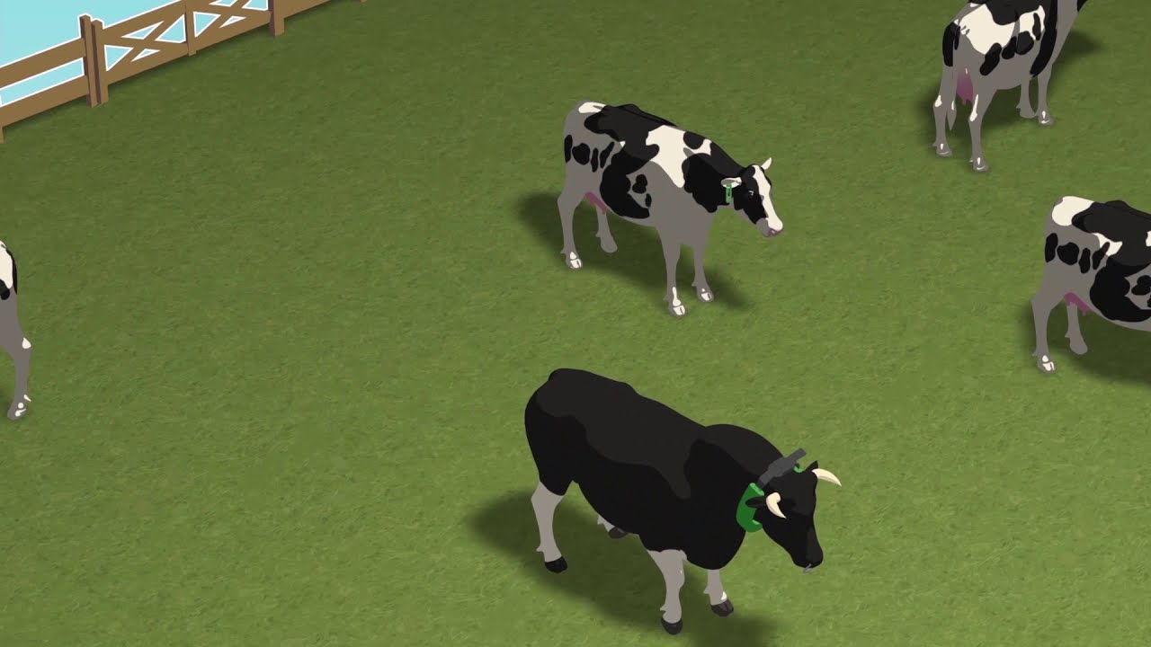 Moocall HEAT. How does it work? - YouTube