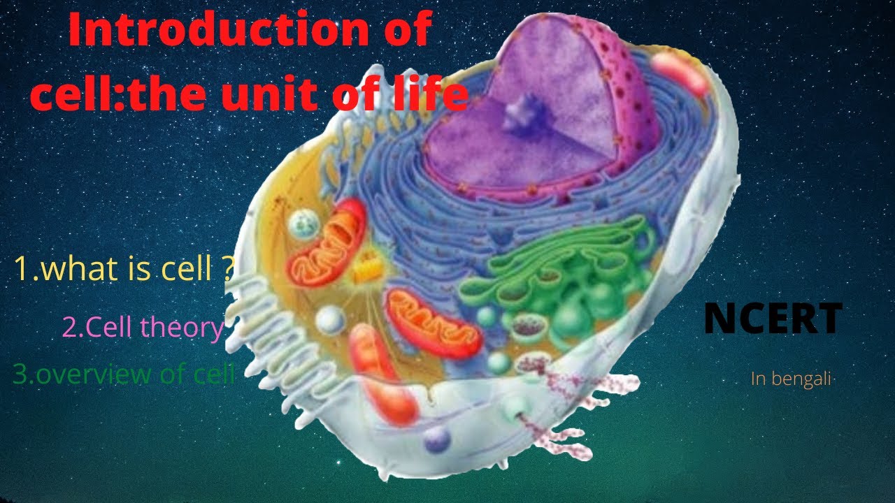 Introduction of cell :the unit of life ncert based/Cell:the unit of ...