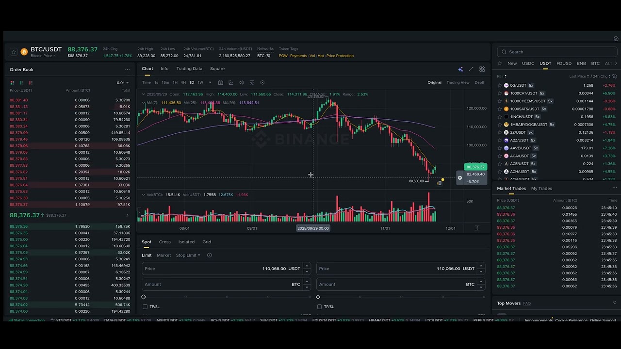 LIVE BTC/USDT CHART: Real-Time Bitcoin Price Tracker (Current Market ...