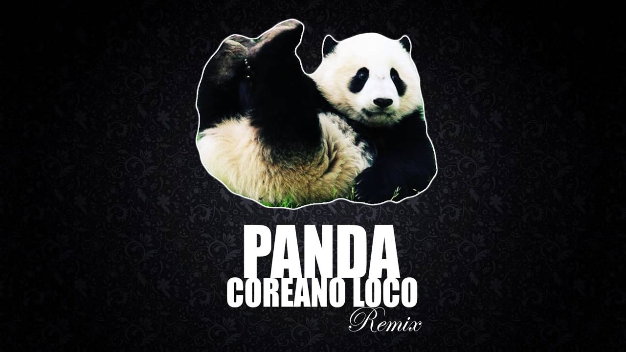 Panda Remix Fans del Coreano Loco version - YouTube