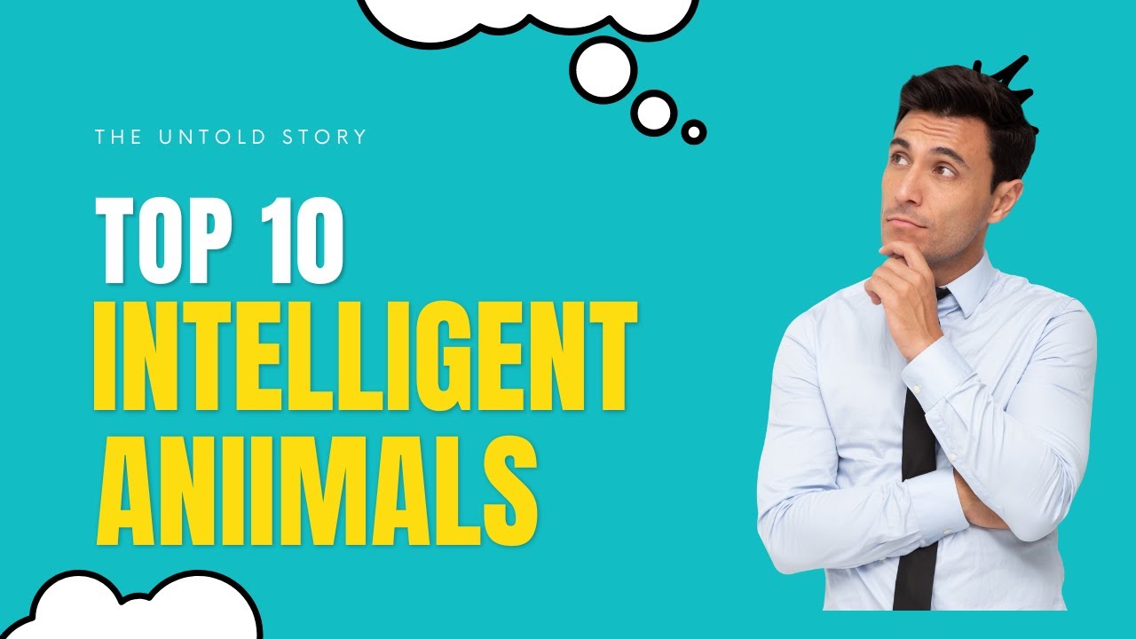 Top 10 Intelligent Animals on this Planet - YouTube