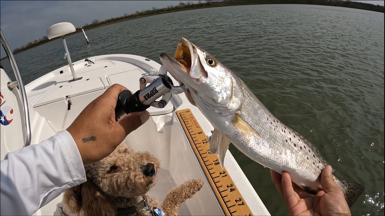 Freeport Texas Fishing/Christmas bay-non stop bites on Speckled Trout ...