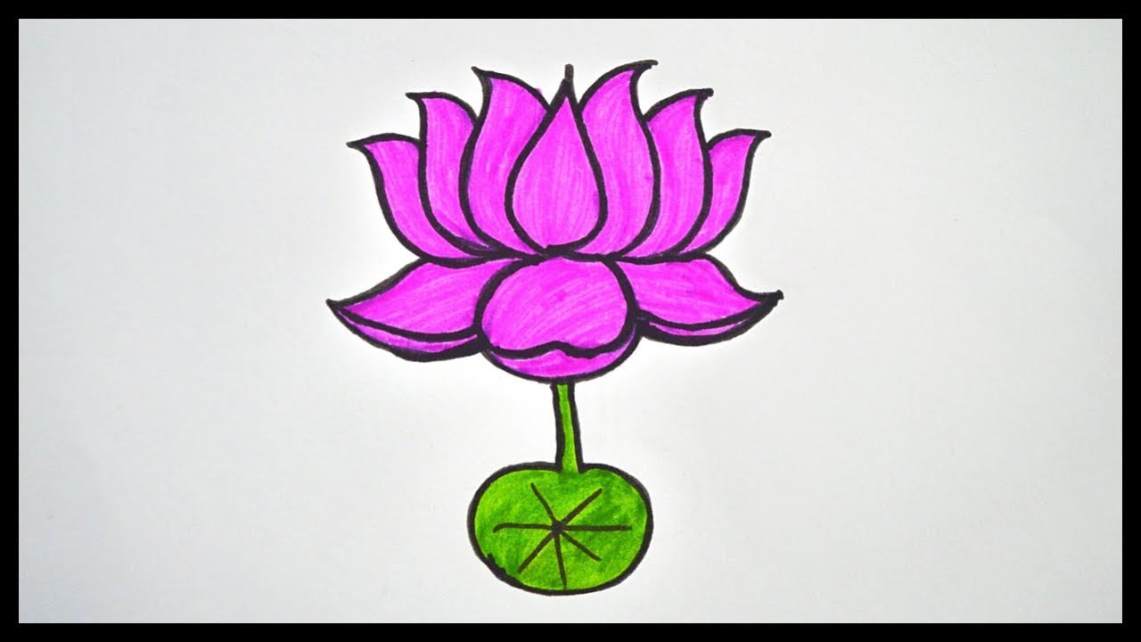 How To Draw Lotus Flower || Drawing And Coloring For Kids - YouTube