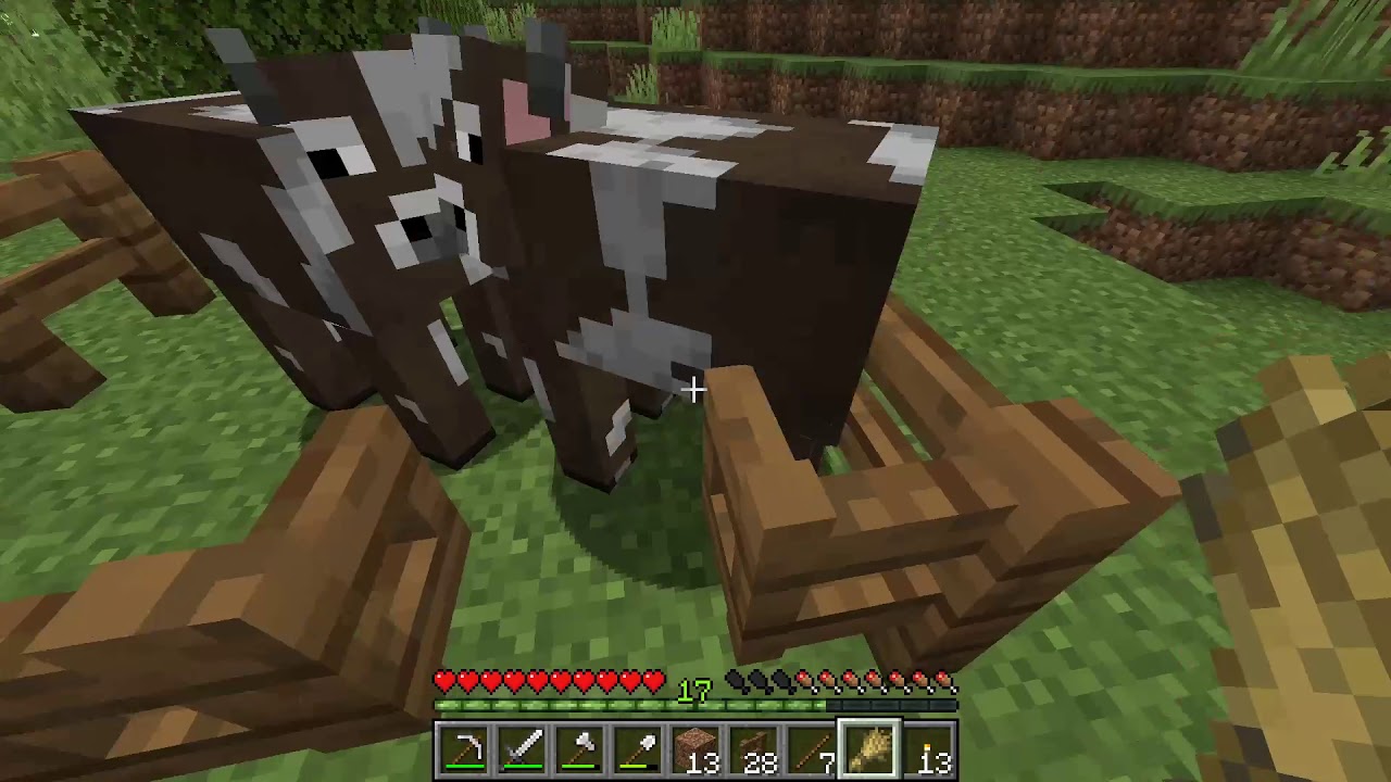 CocoCraft Ep2 | BIGGER and BETTER!! - YouTube
